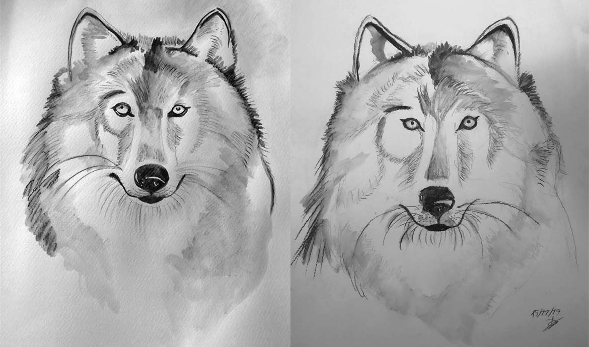 Entrer dans le dessin - Atelier la Mélodie des Couleurs